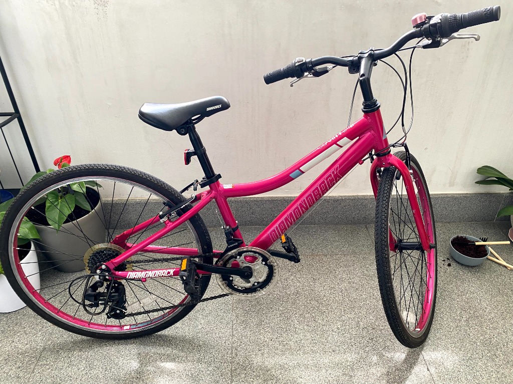Kids 24" Hybrid Bike, Sports Equipment, Bicycles & Parts, Bicycles on ...