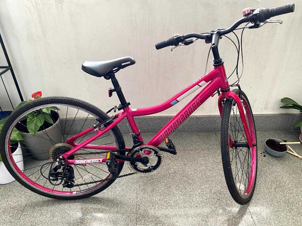 Kids 24" Hybrid Bike, Sports Equipment, Bicycles & Parts, Bicycles on ...