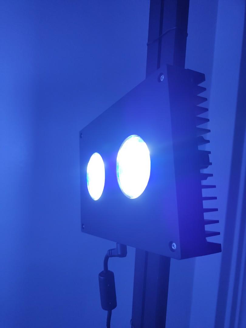 Aqua illumination hydra 26, Pet Supplies, Homes & Other Pet Accessories ...