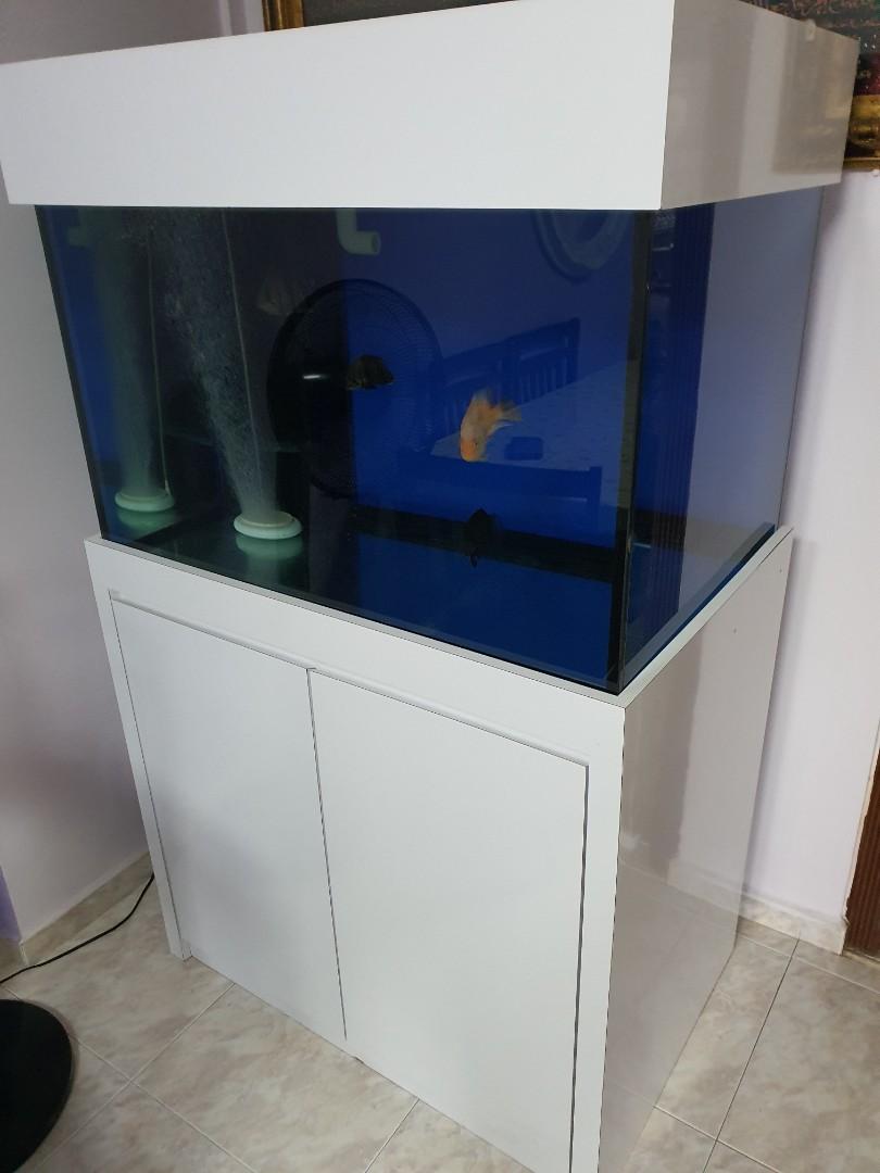 3ft tank with 3ft sump, Pet Supplies, Homes & Other Pet Accessories on ...