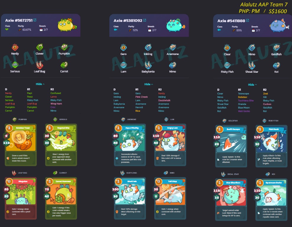 Axie Infinity AAP Team, Video Gaming, Gaming Accessories, In-Game ...