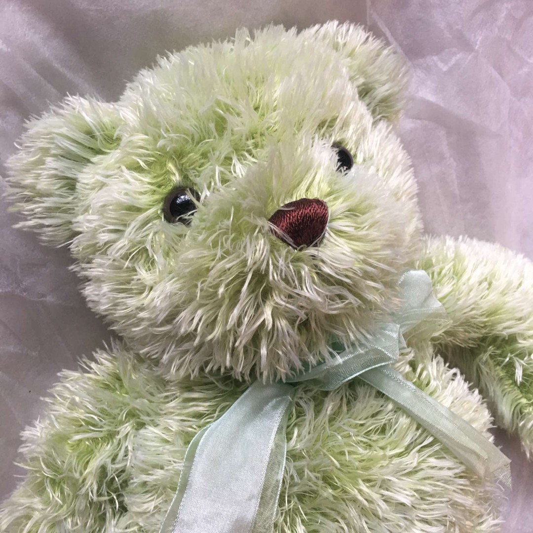 green stuffed toy teddy bear, Hobbies & Toys, Toys & Games on Carousell