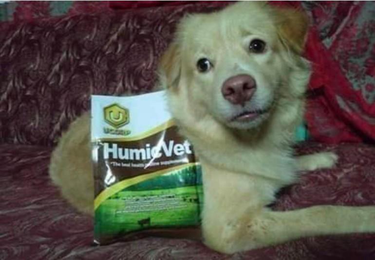 Humicvet, Pet Supplies, Health & Grooming on Carousell