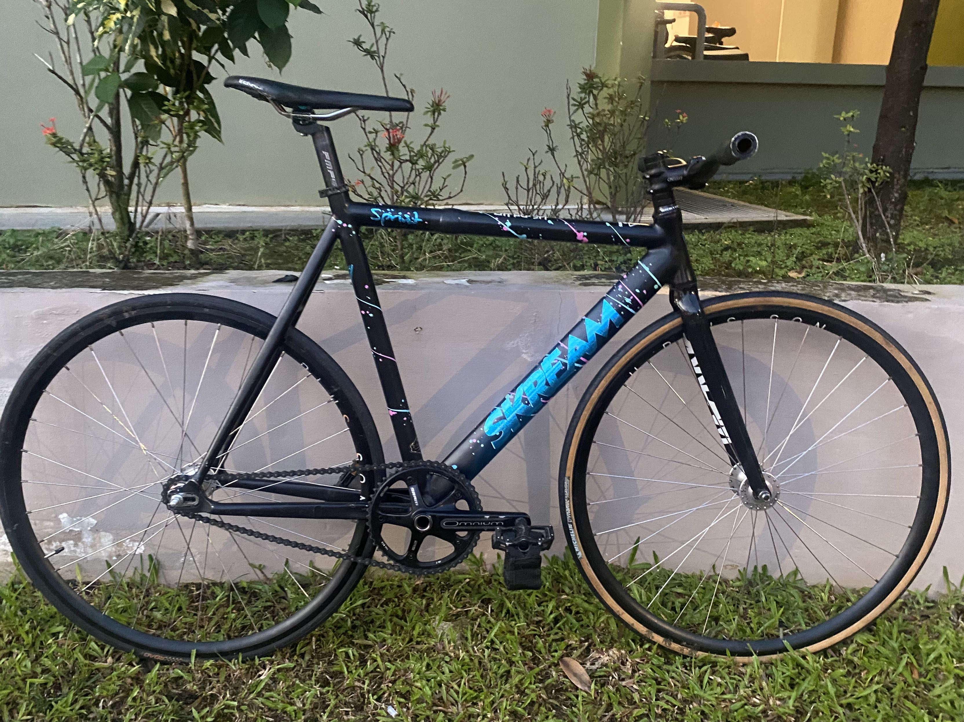 Skream V2 Frameset Fixie, Sports Equipment, Bicycles & Parts, Parts ...