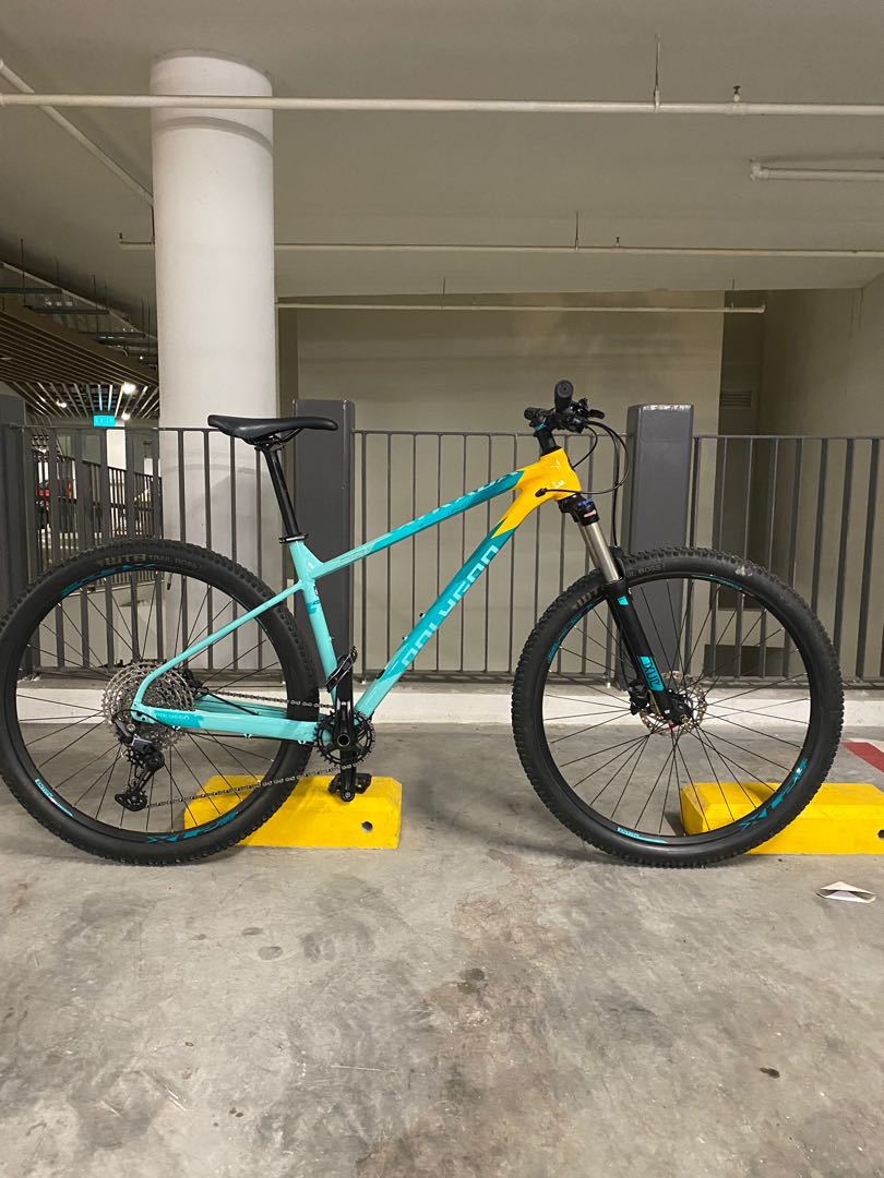 Polygon Xtrada 7 2021, Sports Equipment, Bicycles & Parts, Bicycles on ...