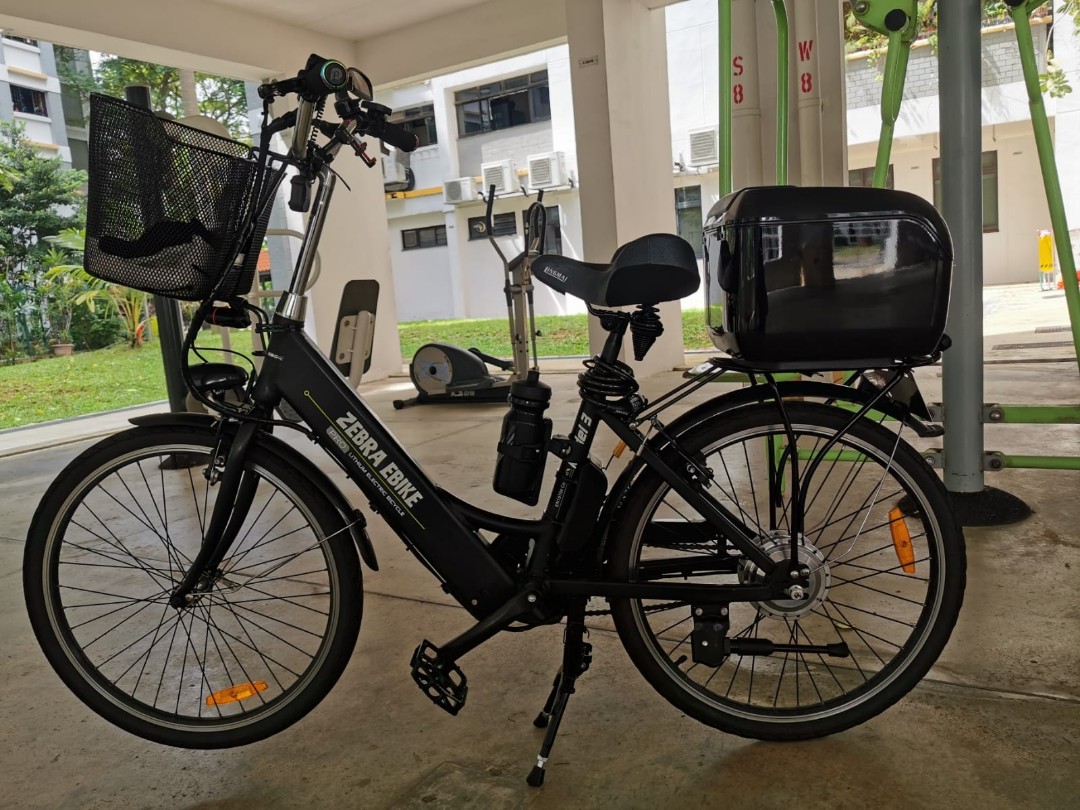 ZEBRA E-Bike Model 3, Sports Equipment, PMDs, E-Scooters & E-Bikes, E ...