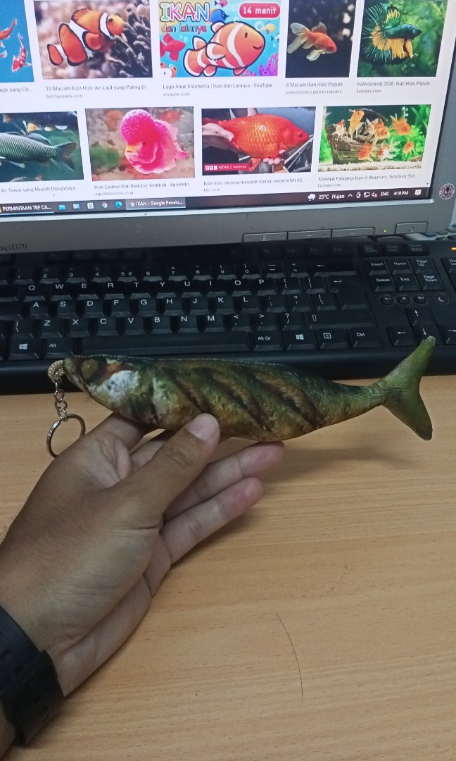 Jual Gantungan Kunci Motif ikan, Desain & Kerajinan Tangan, Lainnya di ...