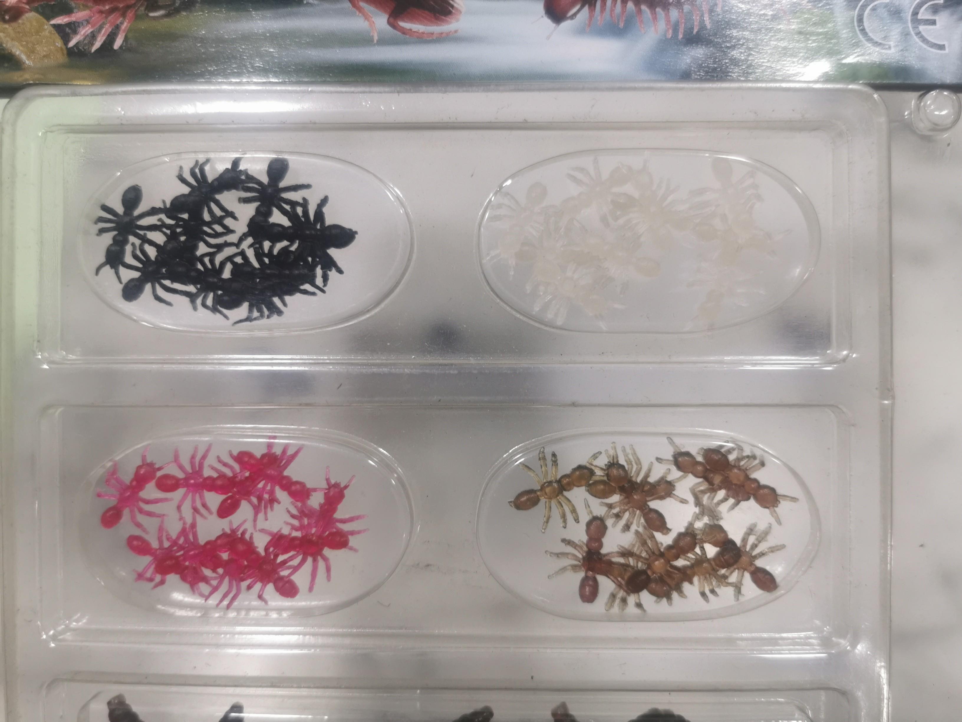 Prank Toy Fake Spiders/Insects/Maggots/Flies/Ants, Hobbies & Toys, Toys ...