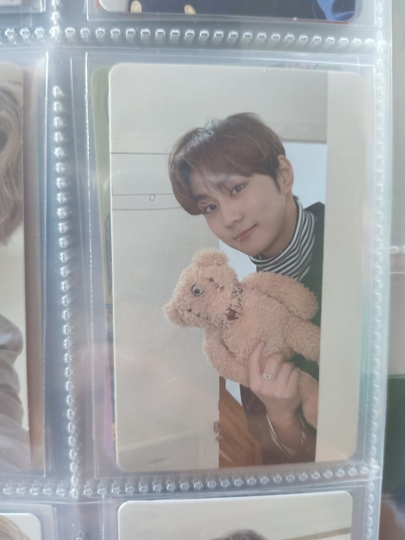 Teddy won b:c pc, Hobbies & Toys, Memorabilia & Collectibles, K-Wave on ...