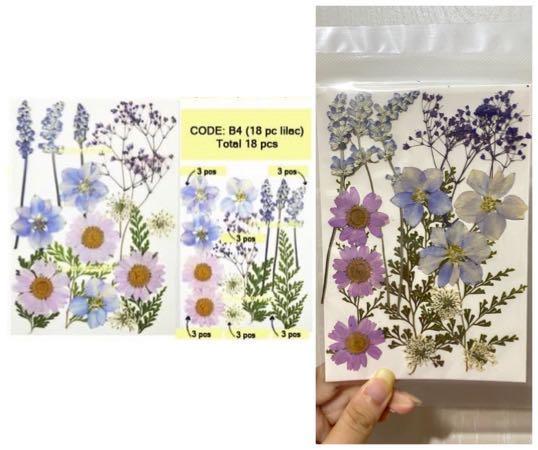 DIY Pressed Flower Frame Kit, Hobbies & Toys, Stationery & Craft, Craft ...