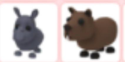Rhino,capybara/adopt me 2019 jungle egg, Mobile Phones & Gadgets, Other ...