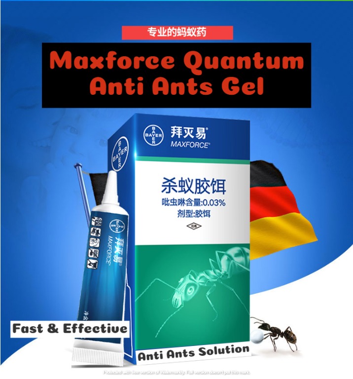 Bayer Maxforce Quantum Anti Ants Gel Bait - 5g, Furniture & Home Living ...