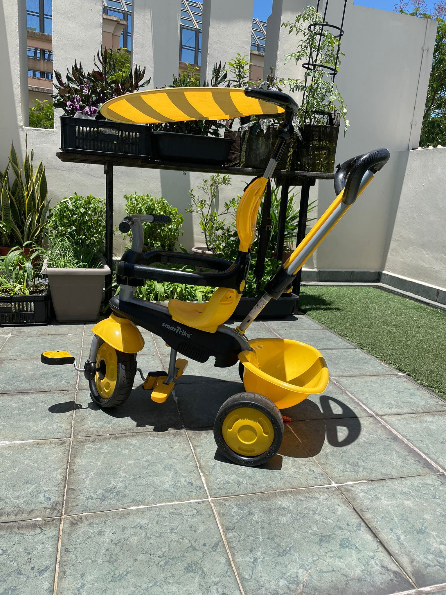 Smart Trike Zoo Bumblebee 3-in-1 Tricycle, Babies & Kids, Going Out ...