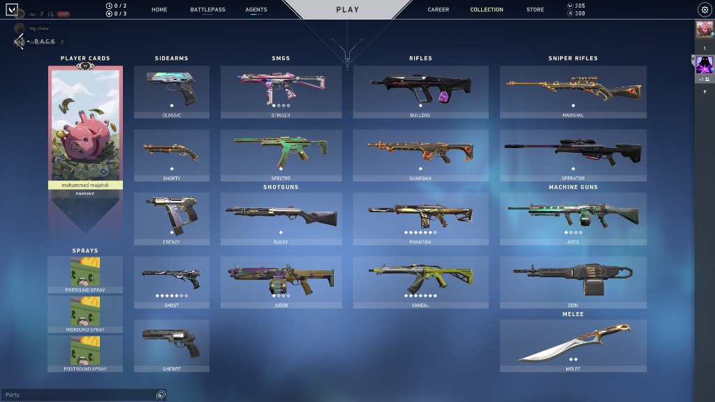 WTS Valorant Account (RARE RUIN DAGGER WITH SKINS), Video Gaming ...