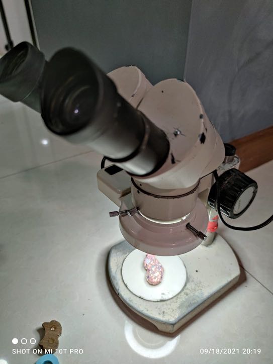 Microscope, Health & Nutrition, Medical Supplies & Tools on Carousell