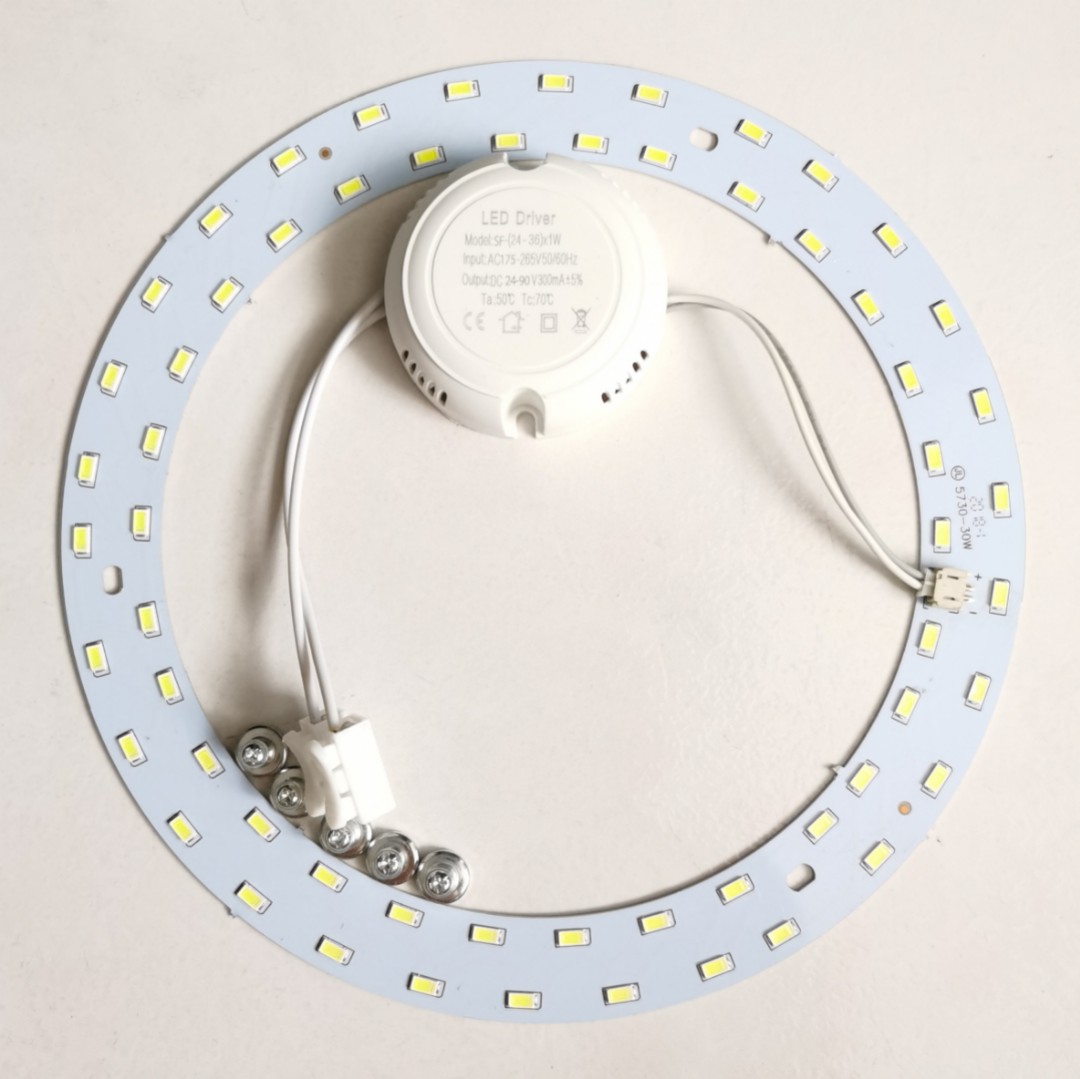 True 30W LED 20cm LED Ceiling Light LED Lamp LED Light c/w LED Driver ...