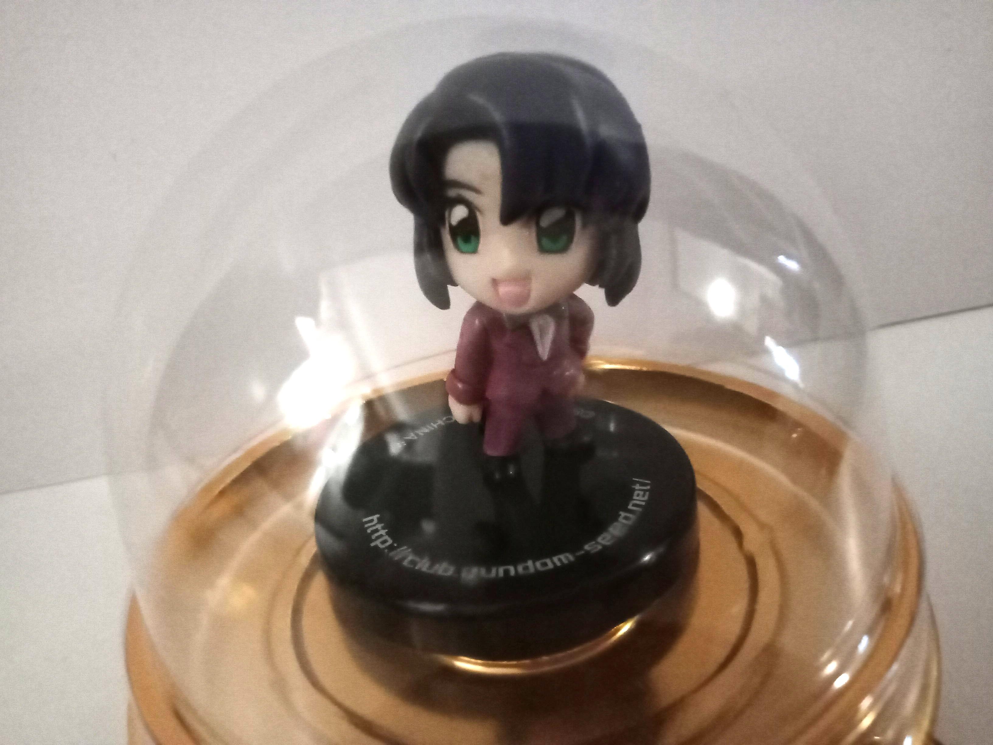 Gundam seed figures (display set), Hobbies & Toys, Memorabilia ...