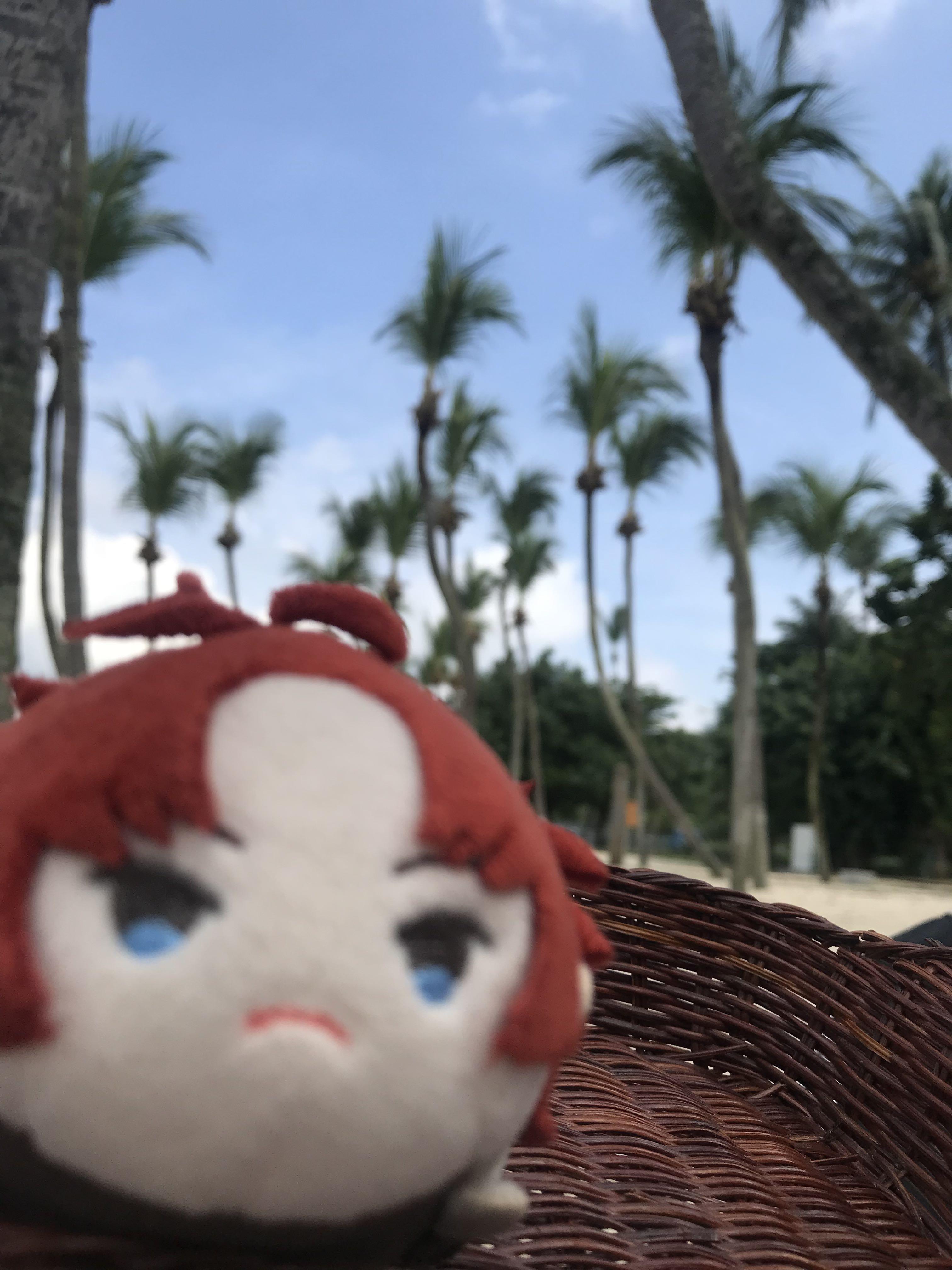 (LF/WTB) bsd bungo stray dogs odasaku oda sakunosuke dazai osamu dead ...