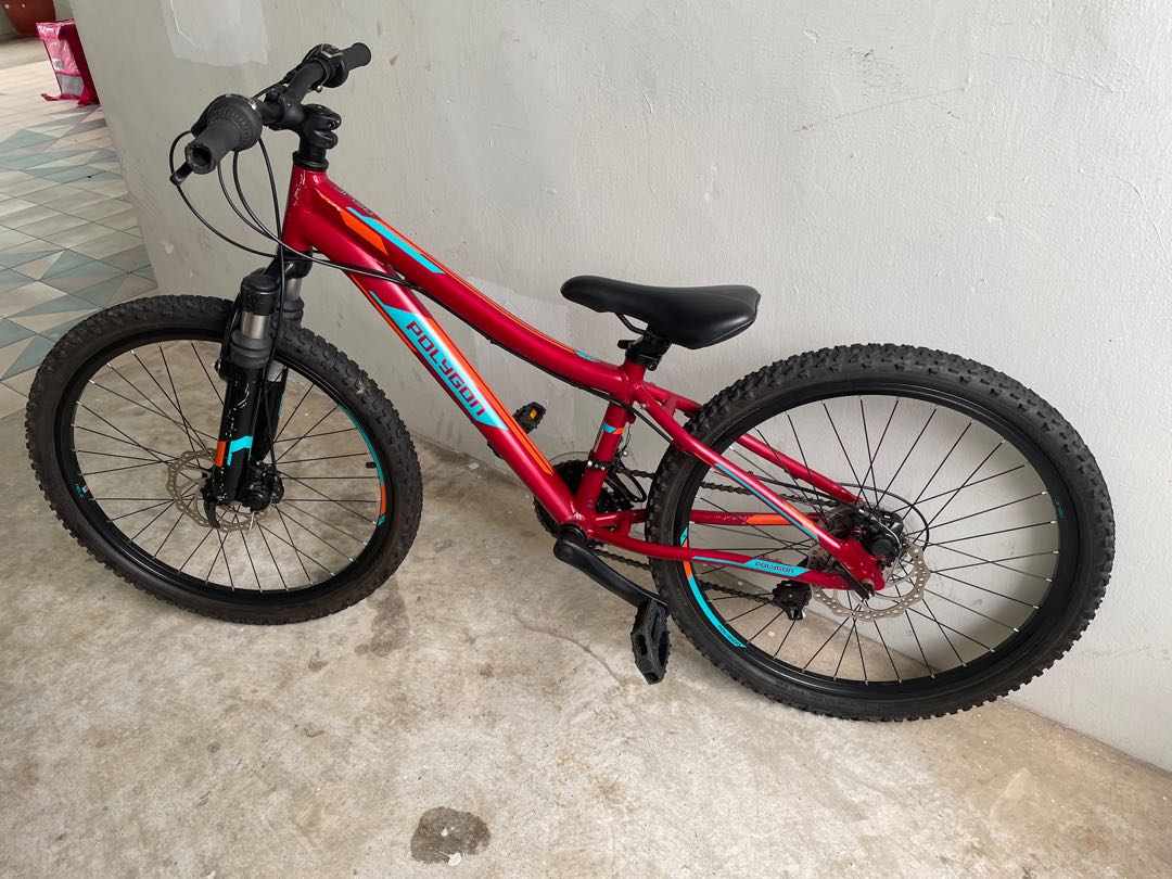Polygon Relic 24 inch Mountain Bike, Sports Equipment, Bicycles & Parts ...