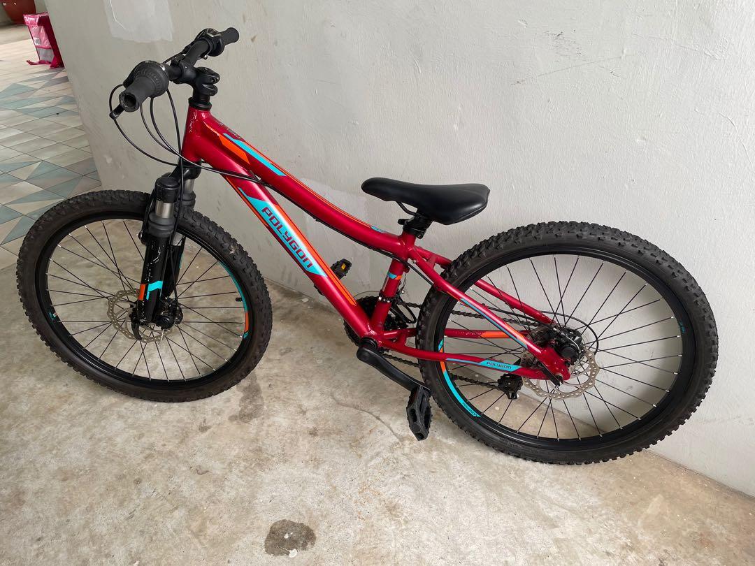 Polygon Relic 24 inch Mountain Bike, Sports Equipment, Bicycles & Parts ...