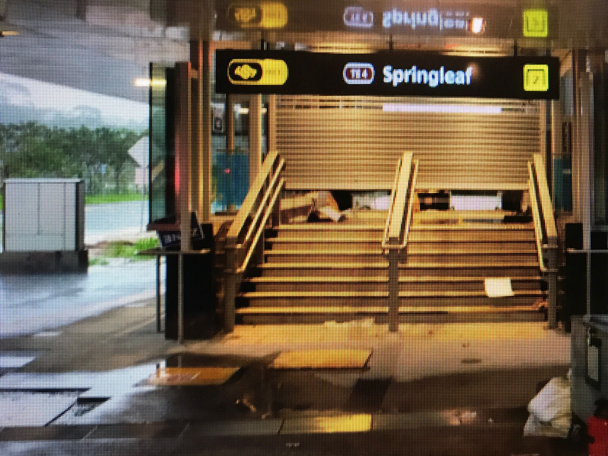 Springleaf MRT 3+1 Forest Hills Condo $3500, Property, Rentals, Condos ...