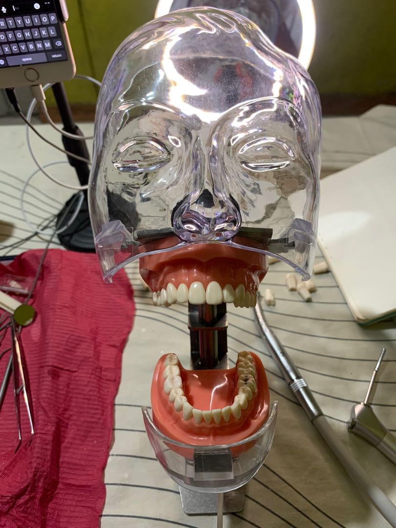 Table top typodont mount with phantom hea, Health & Nutrition, Medical ...