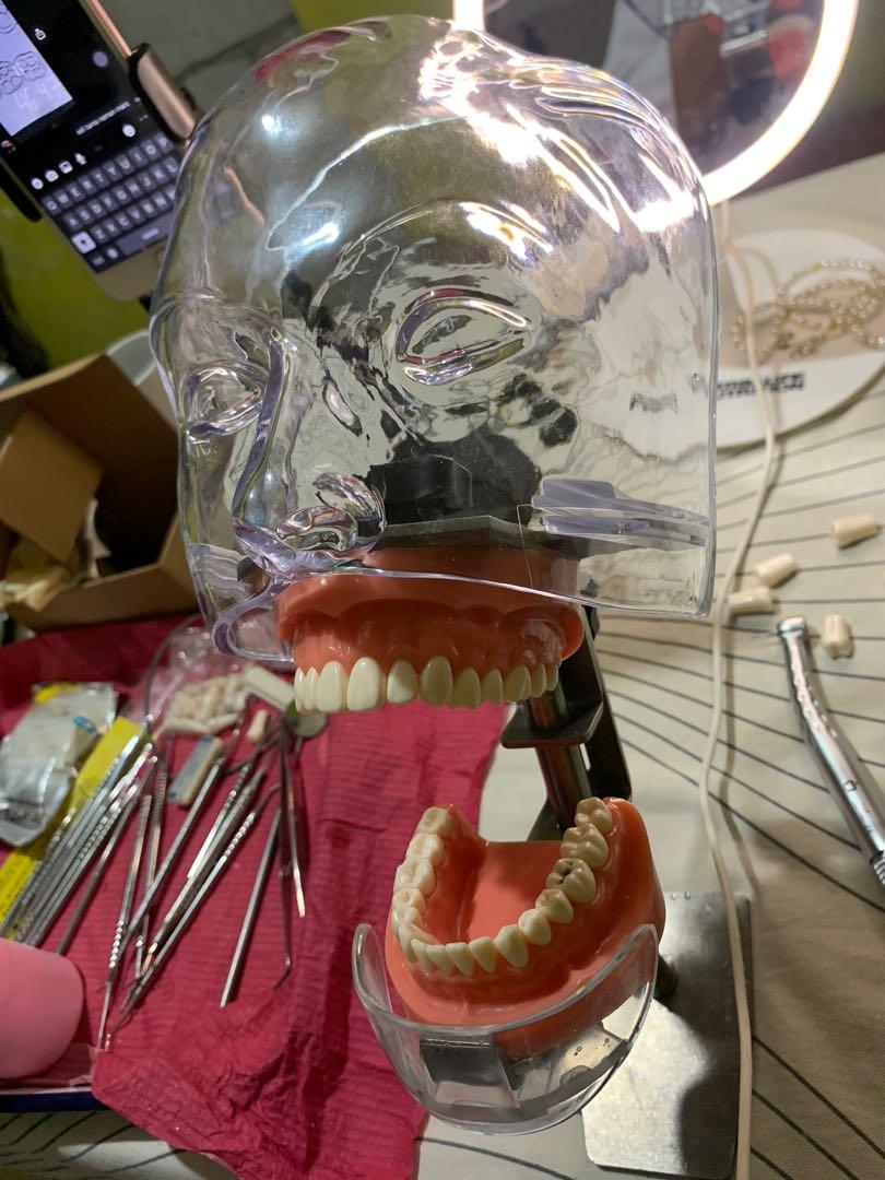 Table top typodont mount with phantom hea, Health & Nutrition, Medical ...