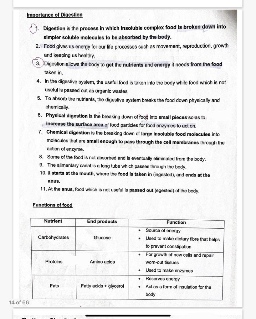 250pg Sec 1/2 Science notes +worksheets (Chem,Bio,Physics) Lower Sec ...