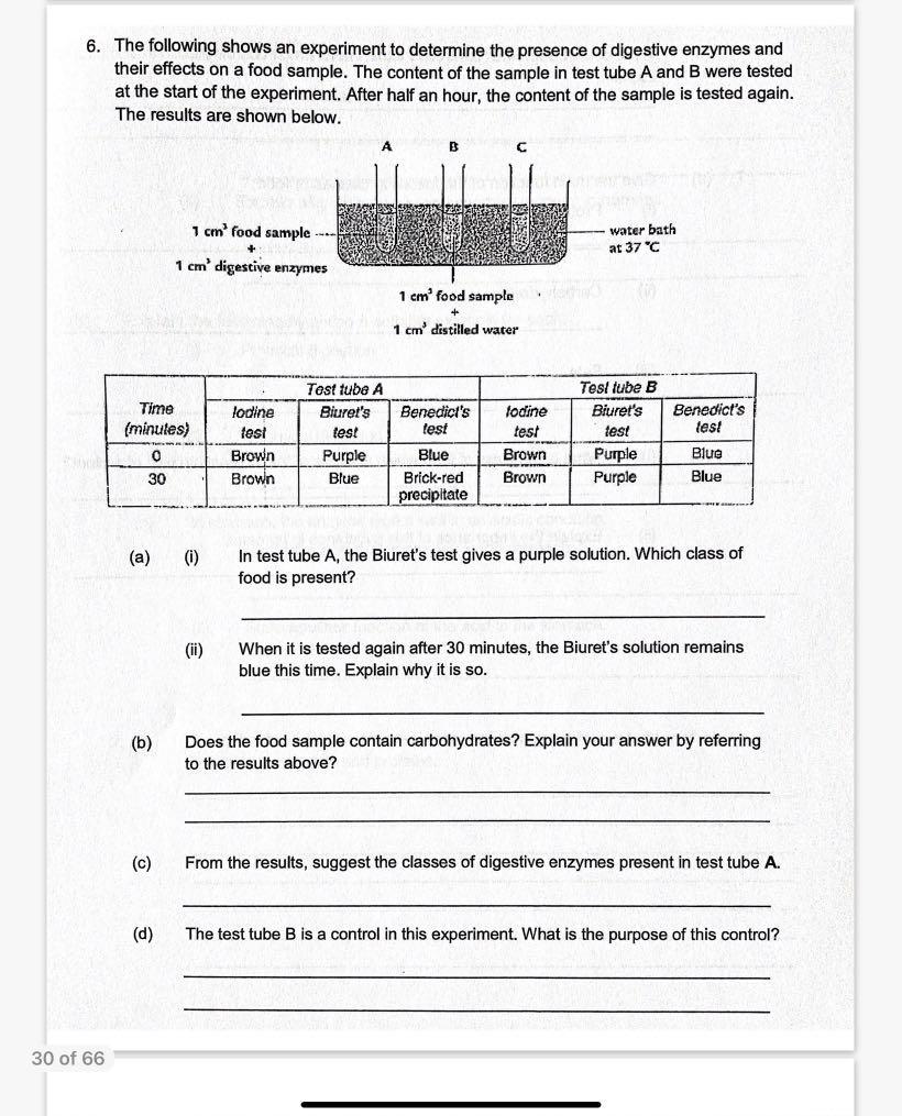 250pg Sec 1/2 Science notes +worksheets (Chem,Bio,Physics) Lower Sec ...