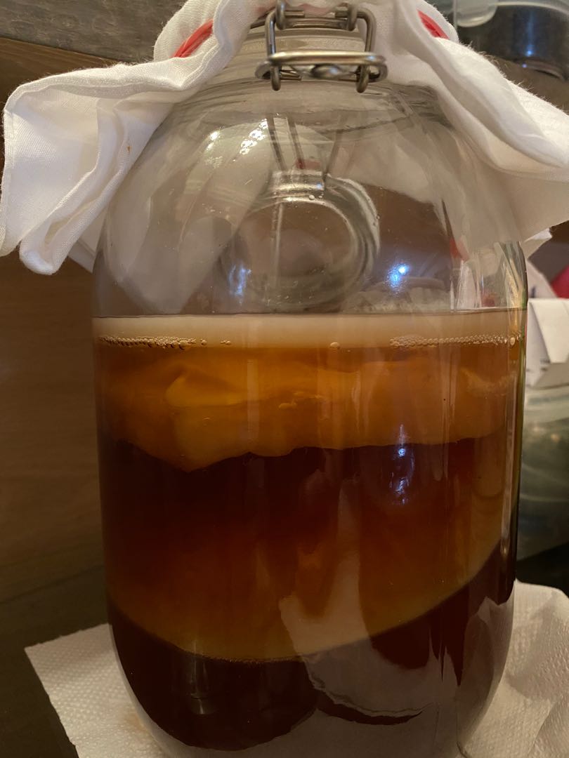 Kombucha Scoby, Health & Nutrition, Health Supplements, Health Food ...