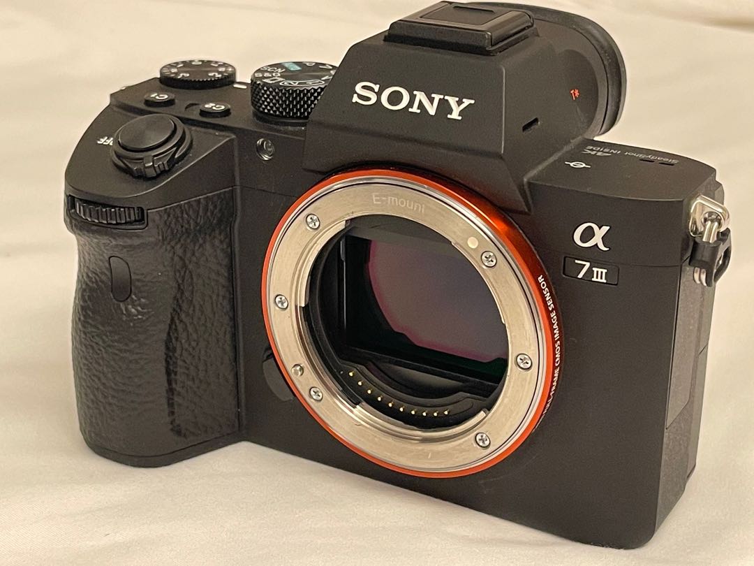 Sony A73 Body 超新淨, 攝影器材, 鏡頭及裝備 - Carousell