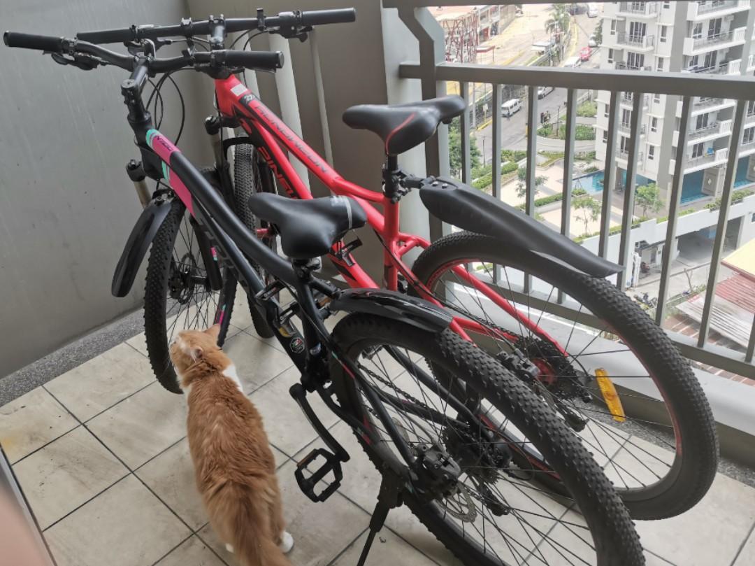 Trinx N700 Pinewood Normandy, Sports Equipment, Bicycles & Parts ...