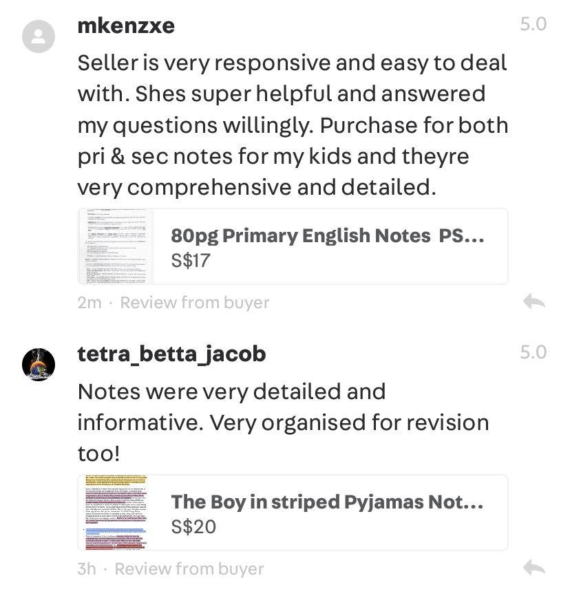 Primary Chinese Notes (PSLE) All levels Avail for Primary Chinese Notes ...