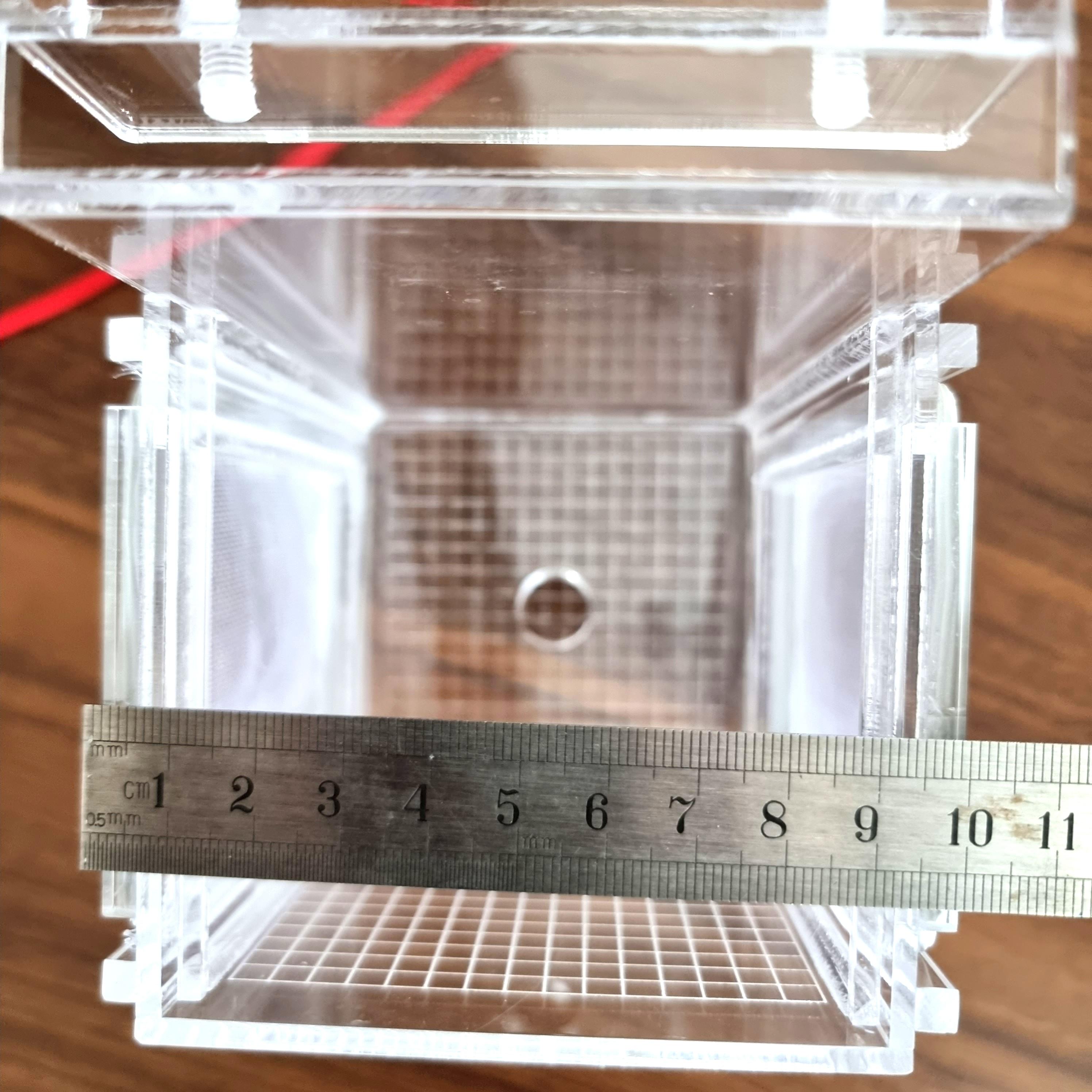 Shrimp Breeder Box, Pet Supplies, Homes & Other Pet Accessories on ...