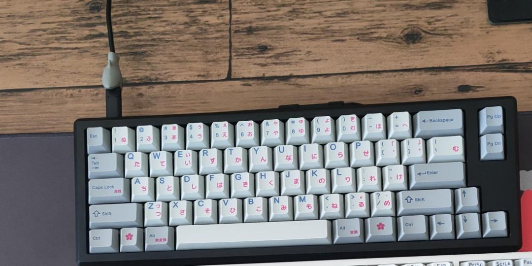 Origin 660 custom keyboard, Computers & Tech, Parts & Accessories ...