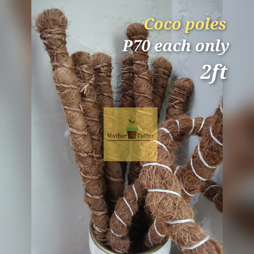 Coco Pole 2ft P70 and 3ft P90, Furniture & Home Living, Gardening, Pots ...