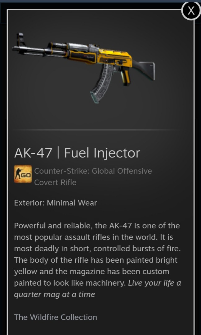CSGO AK-47 fuel Injector MW, Video Gaming, Gaming Accessories, In-Game ...