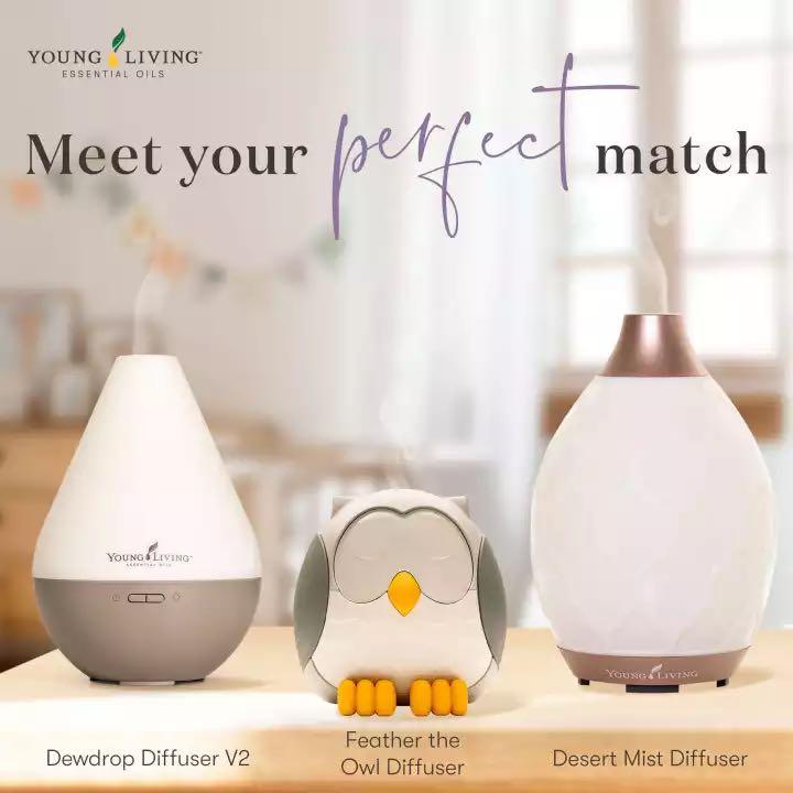 Young Living desert mist /dew drop/feather the owl diffuser psk ...