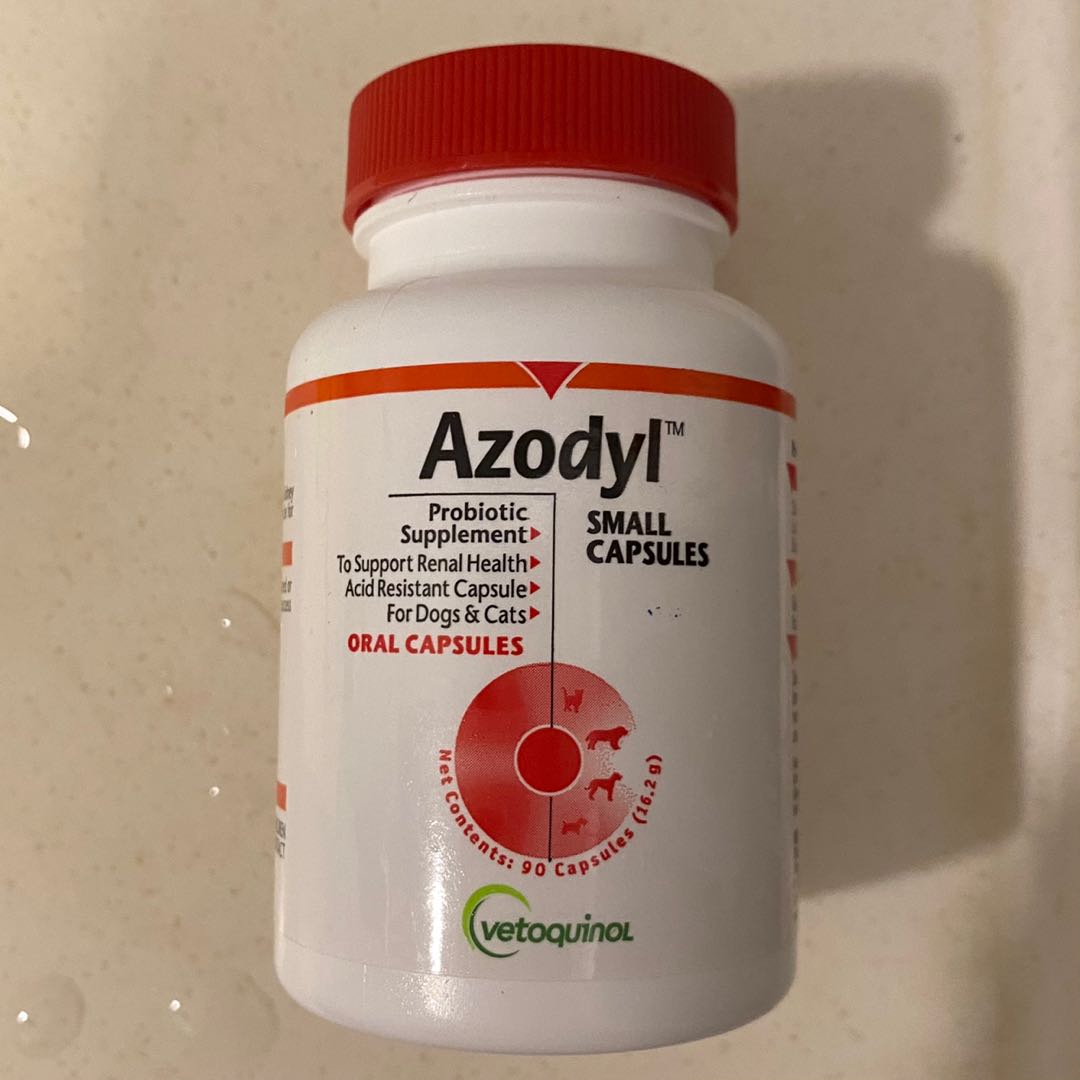 Azodyl small capsules 狗隻腎藥 腎寶膠囊 腎衰竭輔助益生菌 x 74粒, 寵物用品, 寵物食品 - Carousell