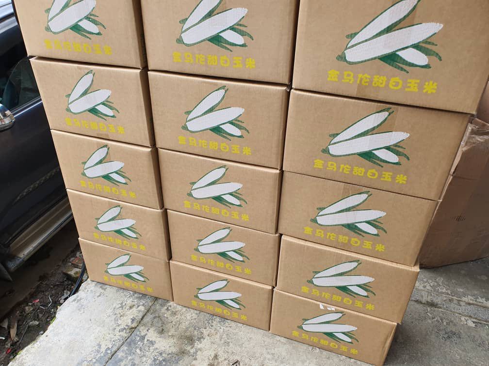 Cameron Highland White Corn, Food & Drinks, Fresh Produce on Carousell