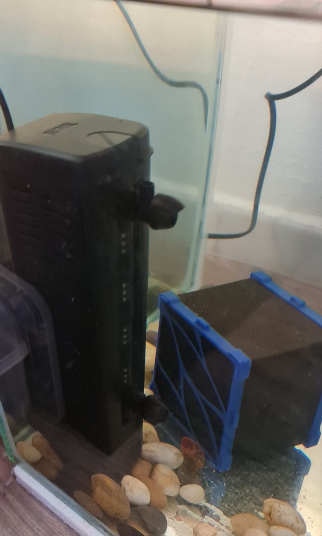 Fluval U3 internal filter, Pet Supplies, Homes & Other Pet Accessories ...
