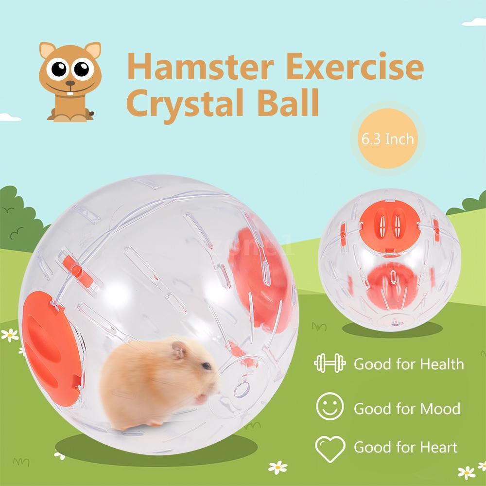 Hamster Ball -Running/ Free Roam, Pet Supplies, Homes & Other Pet ...