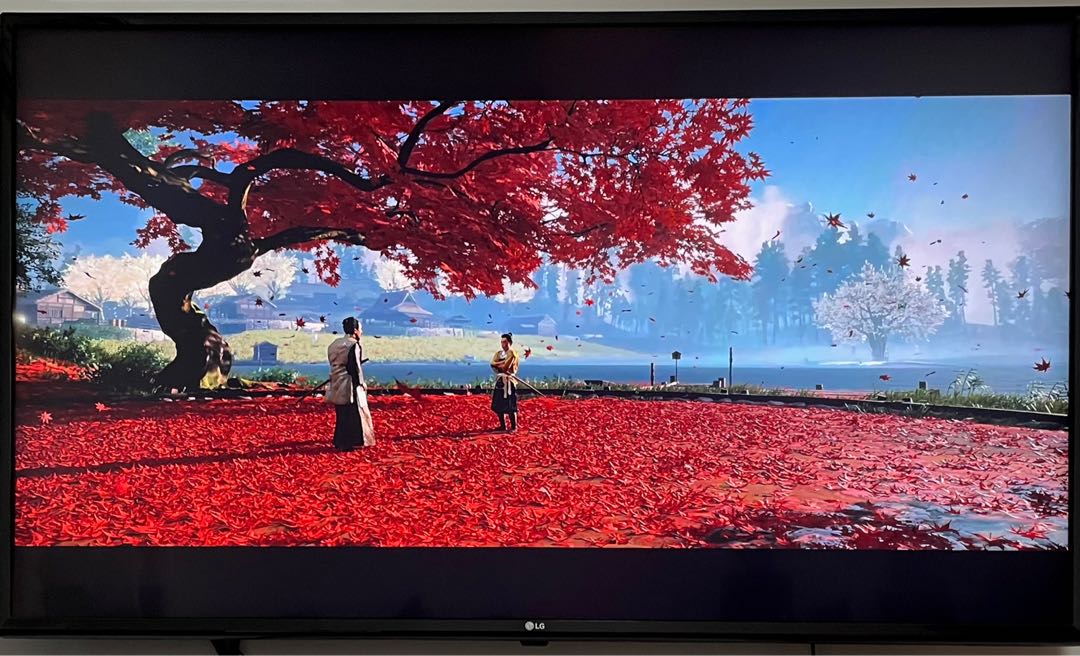 LG 2019 model 49 INCH 4K SMART TV, TV & Home Appliances, TV ...