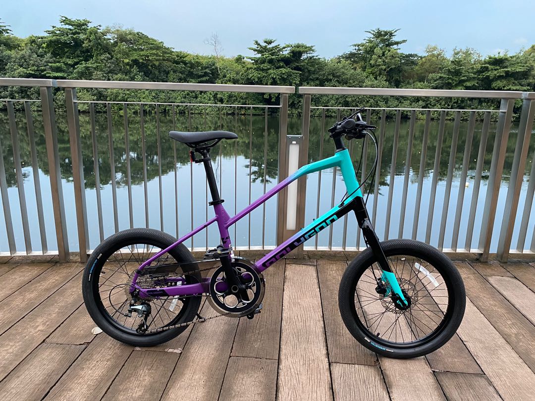 (Pre-Order) Polygon Zeta 2, Sports Equipment, Bicycles & Parts ...