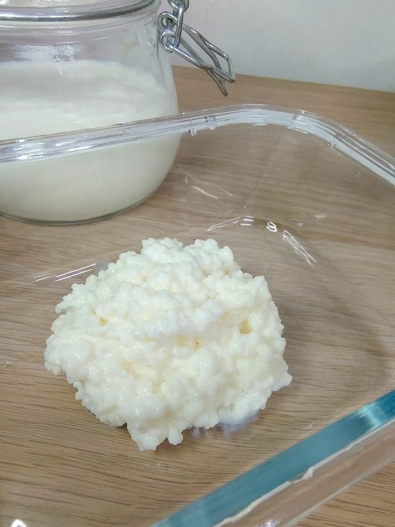 Live Milk Kefir Grains, Health & Nutrition, Health Supplements, Health ...