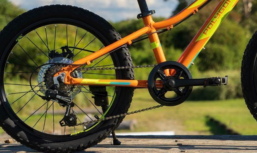 Polygon Relic 20 Mountain Bike for Kids, Sports Equipment, Bicycles ...