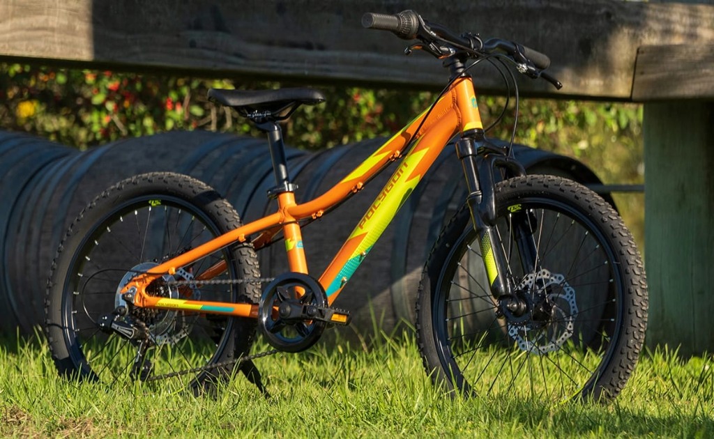 Polygon Relic 20 Mountain Bike for Kids, Sports Equipment, Bicycles ...