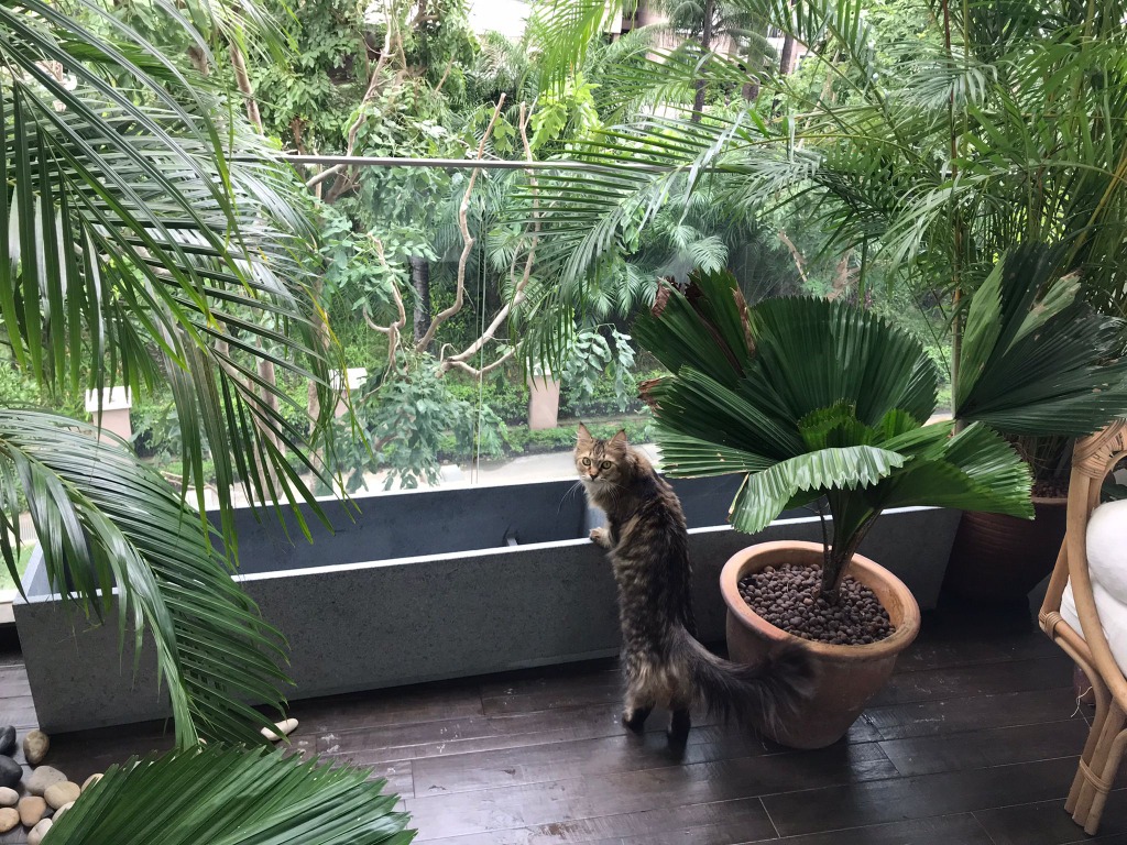 Water Feature Tank Made of Granite, Furniture & Home Living, Gardening ...