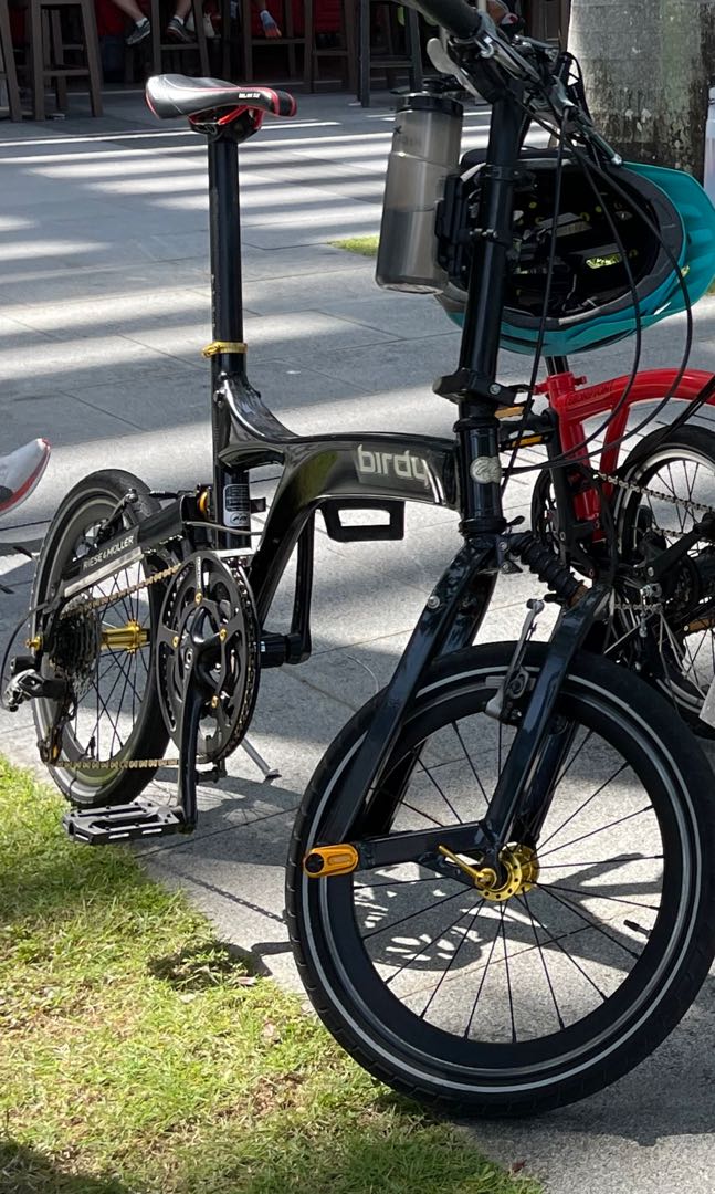 Birdy Gen 2, Sports Equipment, Bicycles & Parts, Bicycles on Carousell