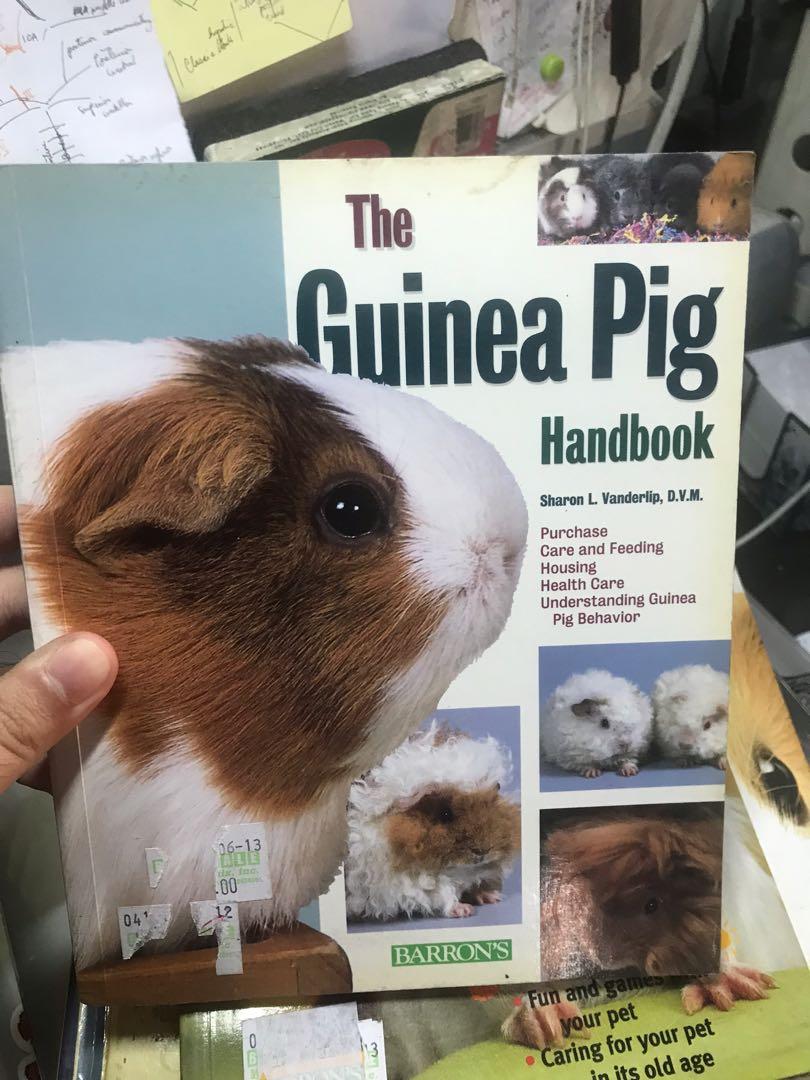 Guinea pig care books Barron Animal Planet, Hobbies & Toys, Books ...